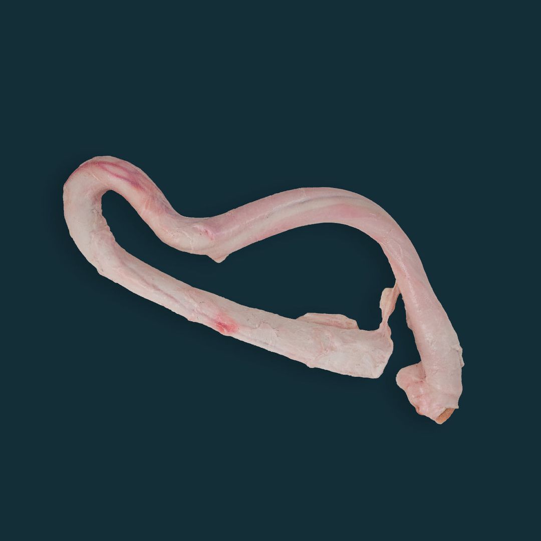Bull pizzle